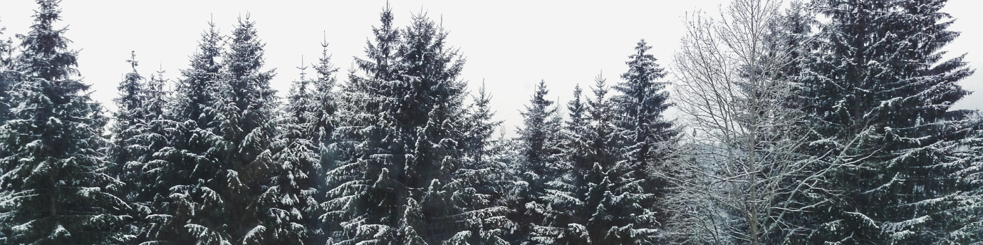 Hot Topic #26: Share your holiday highs and lows - Galvanize Together